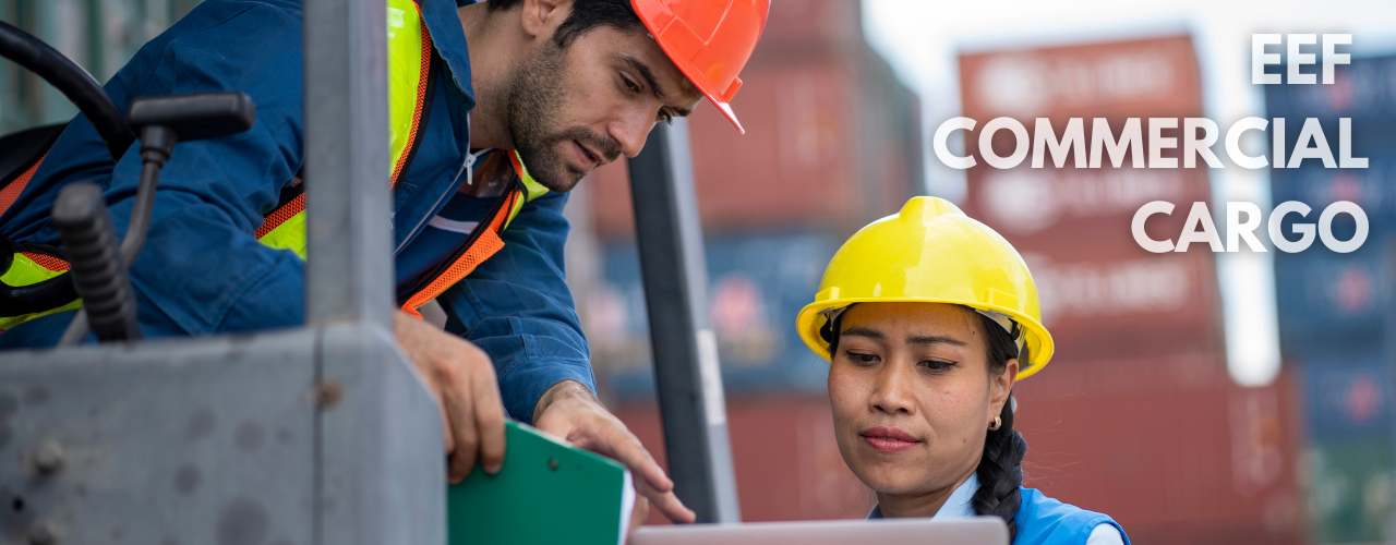 Commercial Cargo Service | Ethereal logistics | International Cargo ...