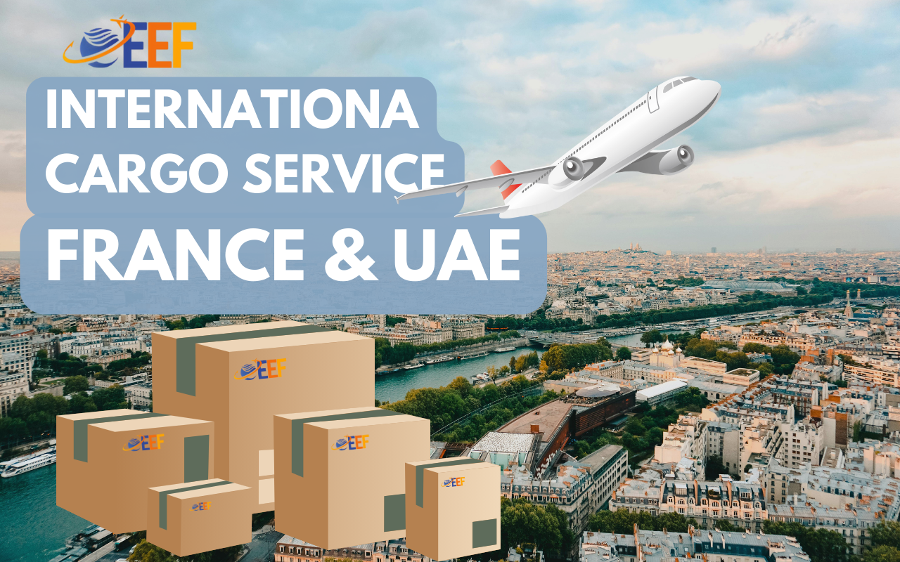 Personal Cargo to France | Shipping | Air Cargo | Sea Cargo | Dubai ...